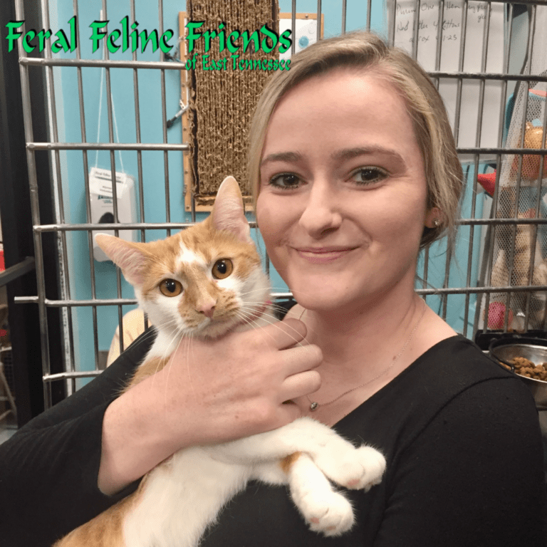 Happy Tails Cats – Feral Feline Friends of East Tennessee
