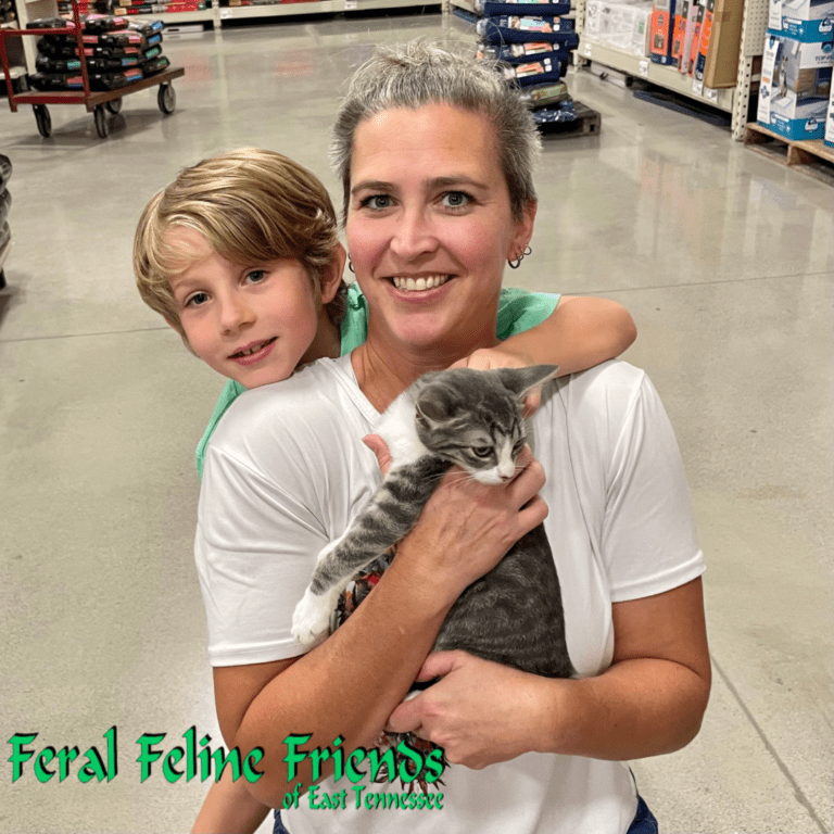 Happy Tails Cats – Feral Feline Friends of East Tennessee