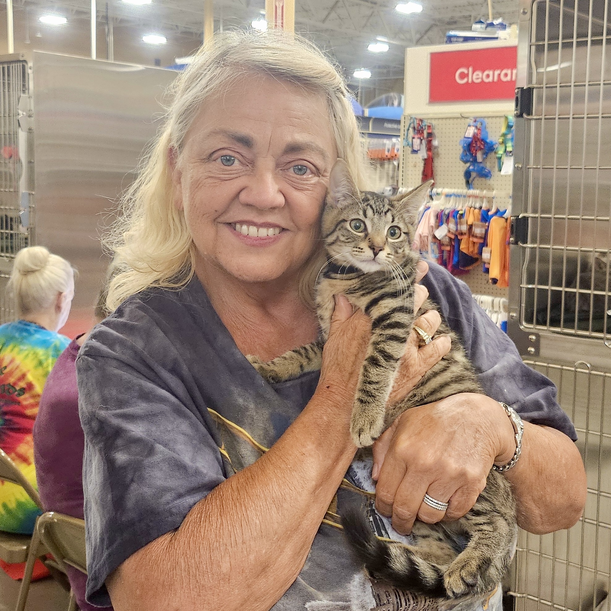 Jack – Feral Feline Friends of East Tennessee